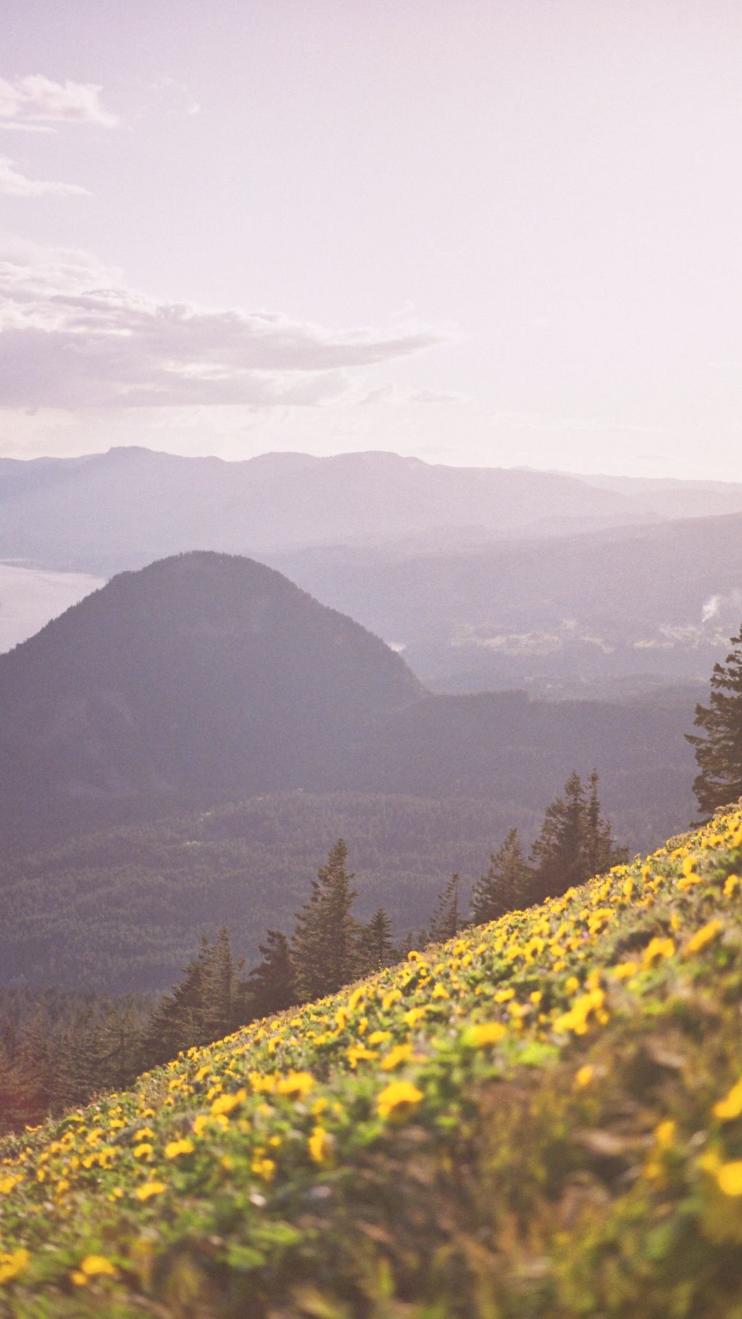 40+ Gorgeous Summer Wallpapers For IPhone Lock Screens