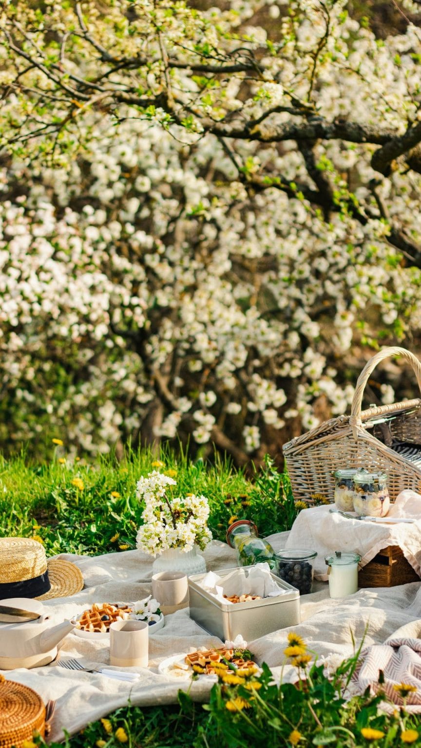 50+ Stunning Spring Wallpapers For IPhone Screens (2026)