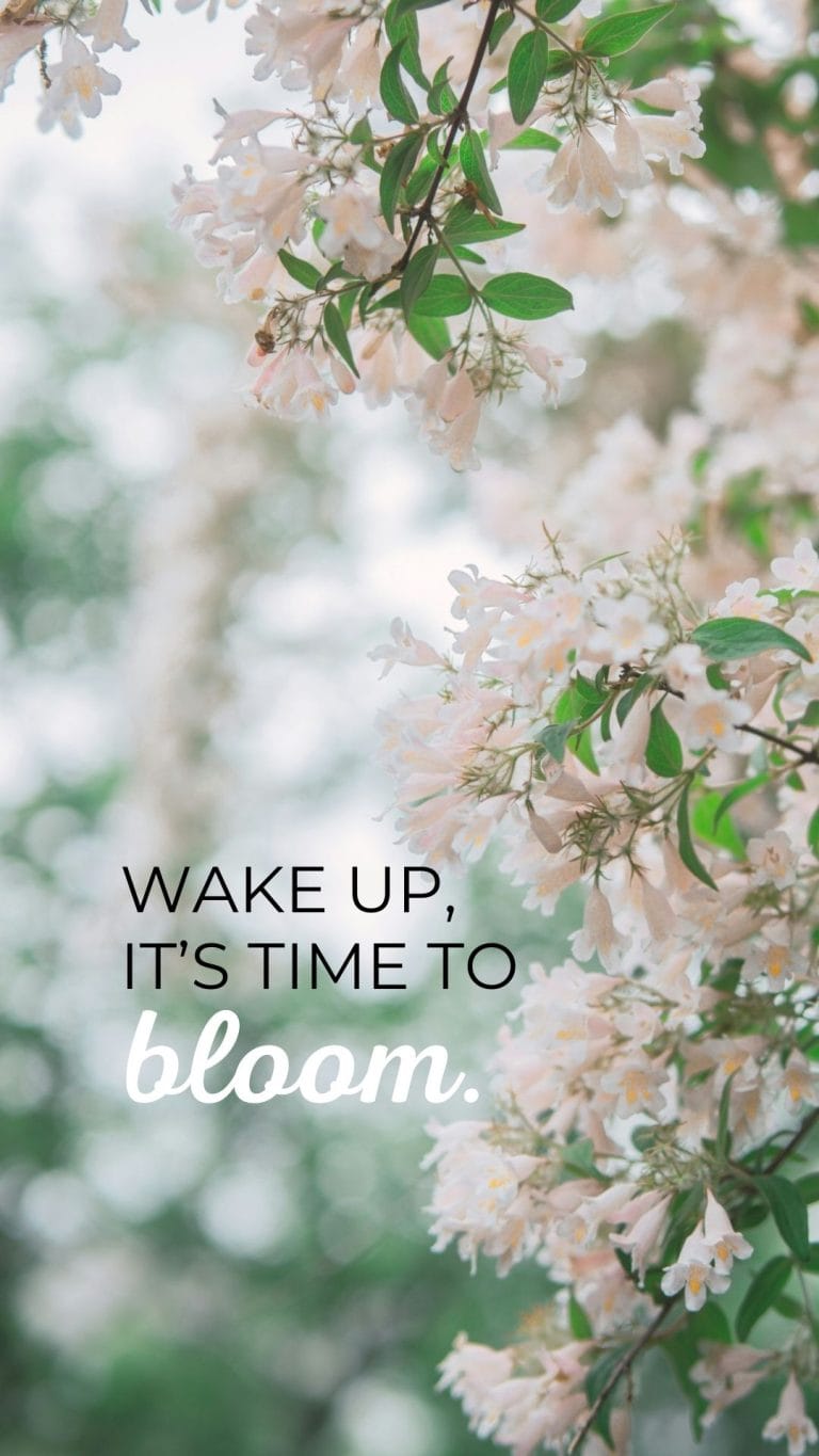 50+ Stunning Spring Wallpapers For IPhone Screens (2026)