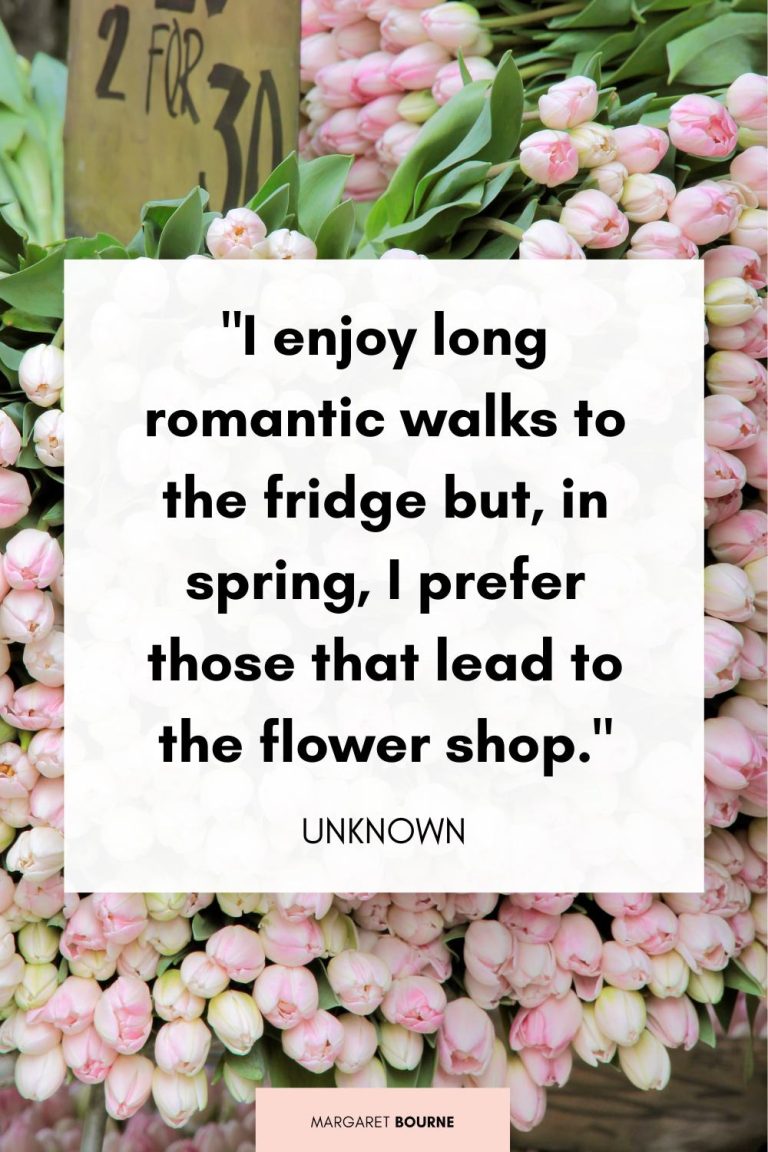 50+ Exciting Spring Quotes For Instagram Posts And Reels