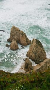 40+ Gorgeous Summer Wallpapers For IPhone Lock Screens